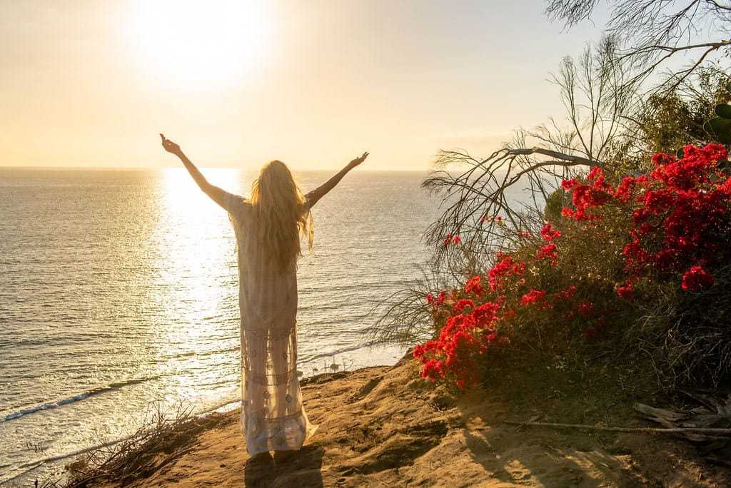 Meditations - Ragan Thomson