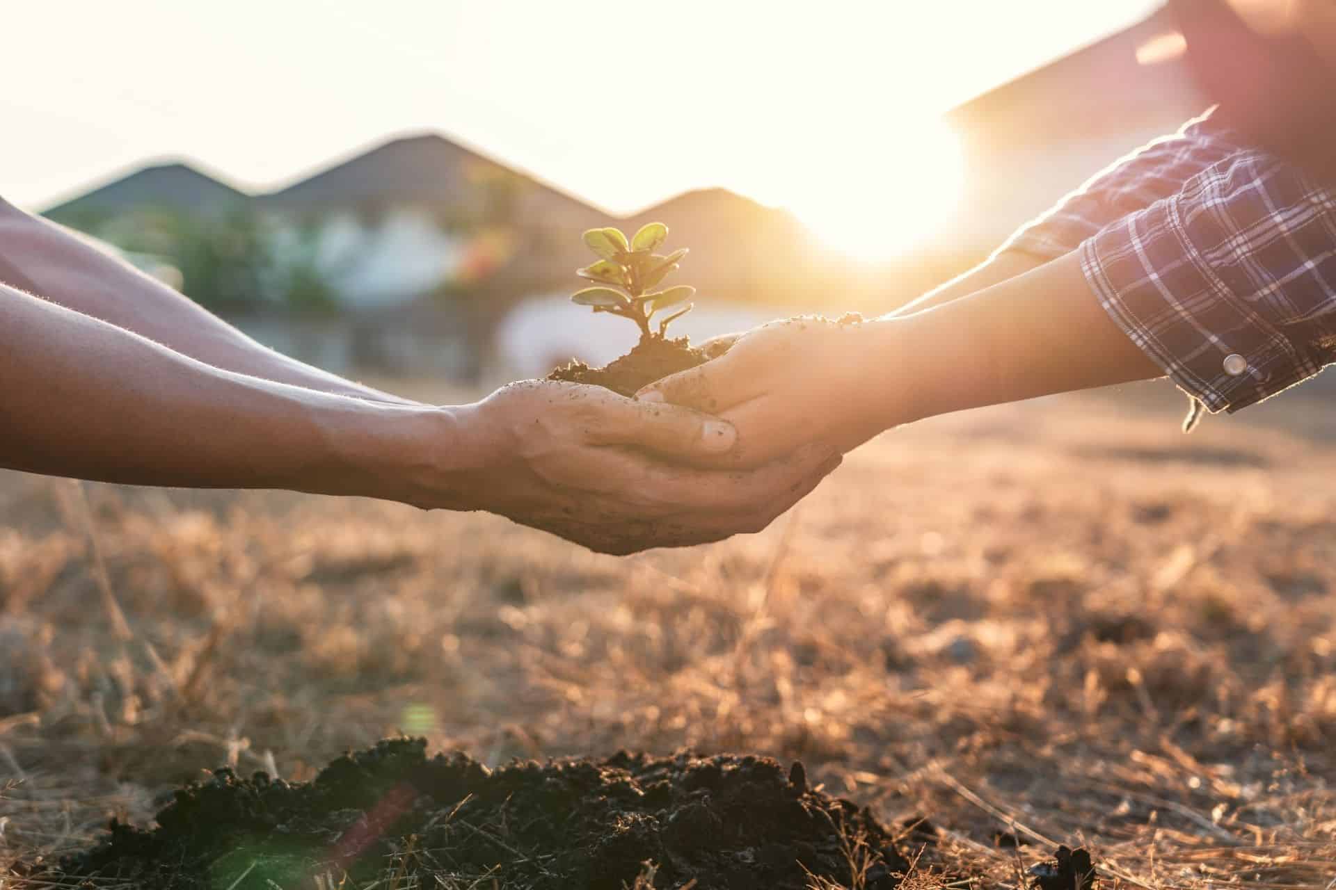 World System Solutions - Ragan Thomson