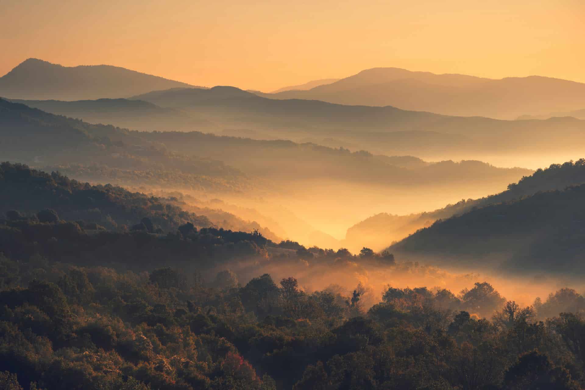 Discover the Spiritual Depths of Rumi’s Poem ‘The Guest House - Ragan ...