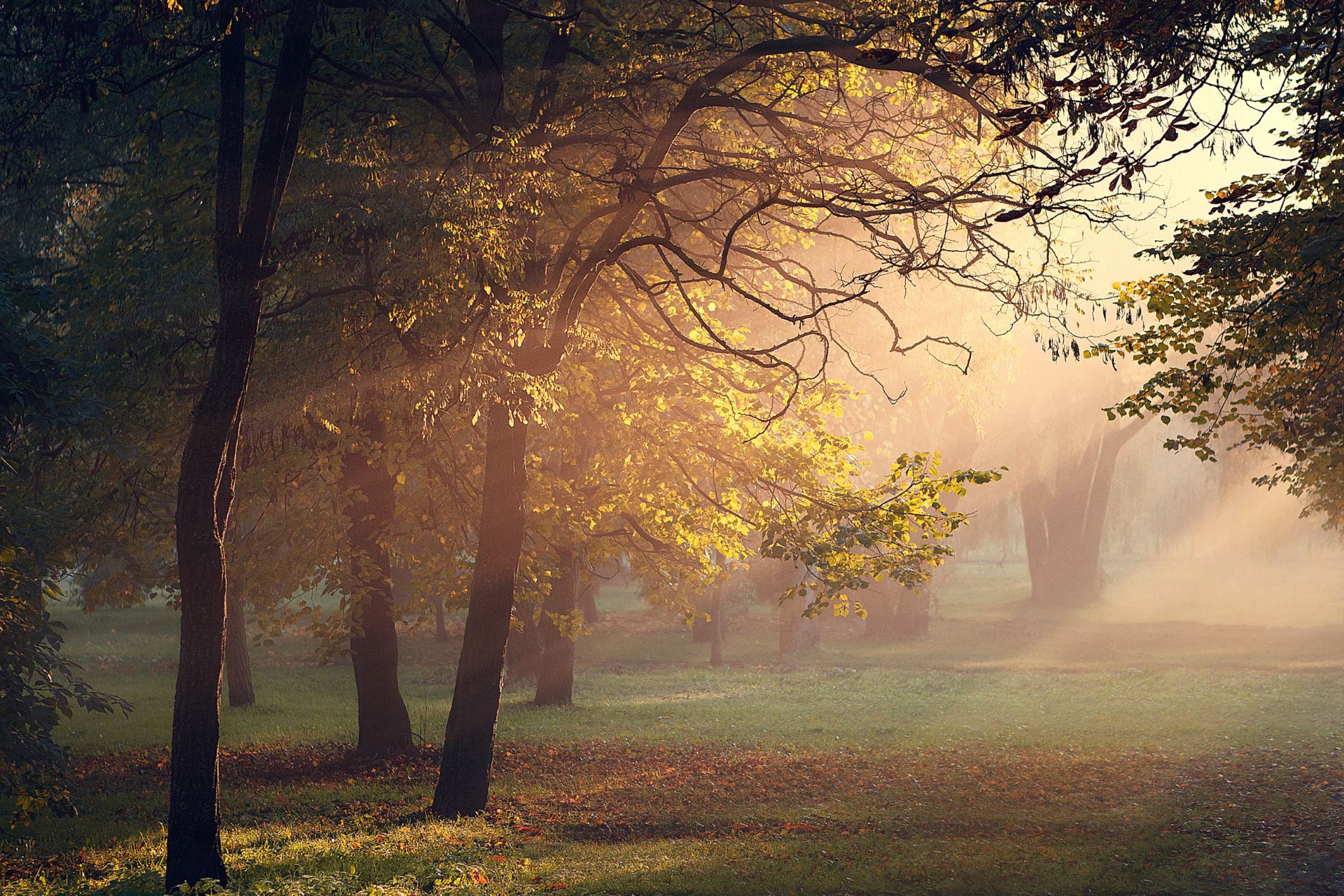 Discover the Spiritual Depths of Rumi’s Poem ‘The Guest House - Ragan ...
